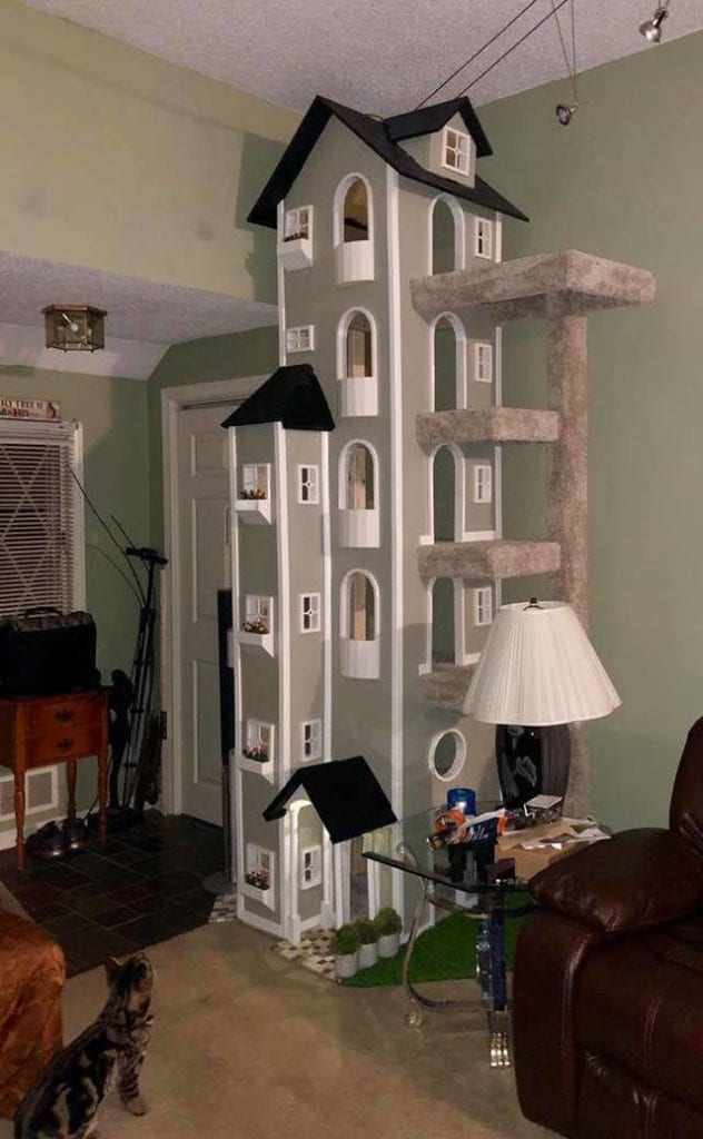Man builds coolest tower ever for his cats