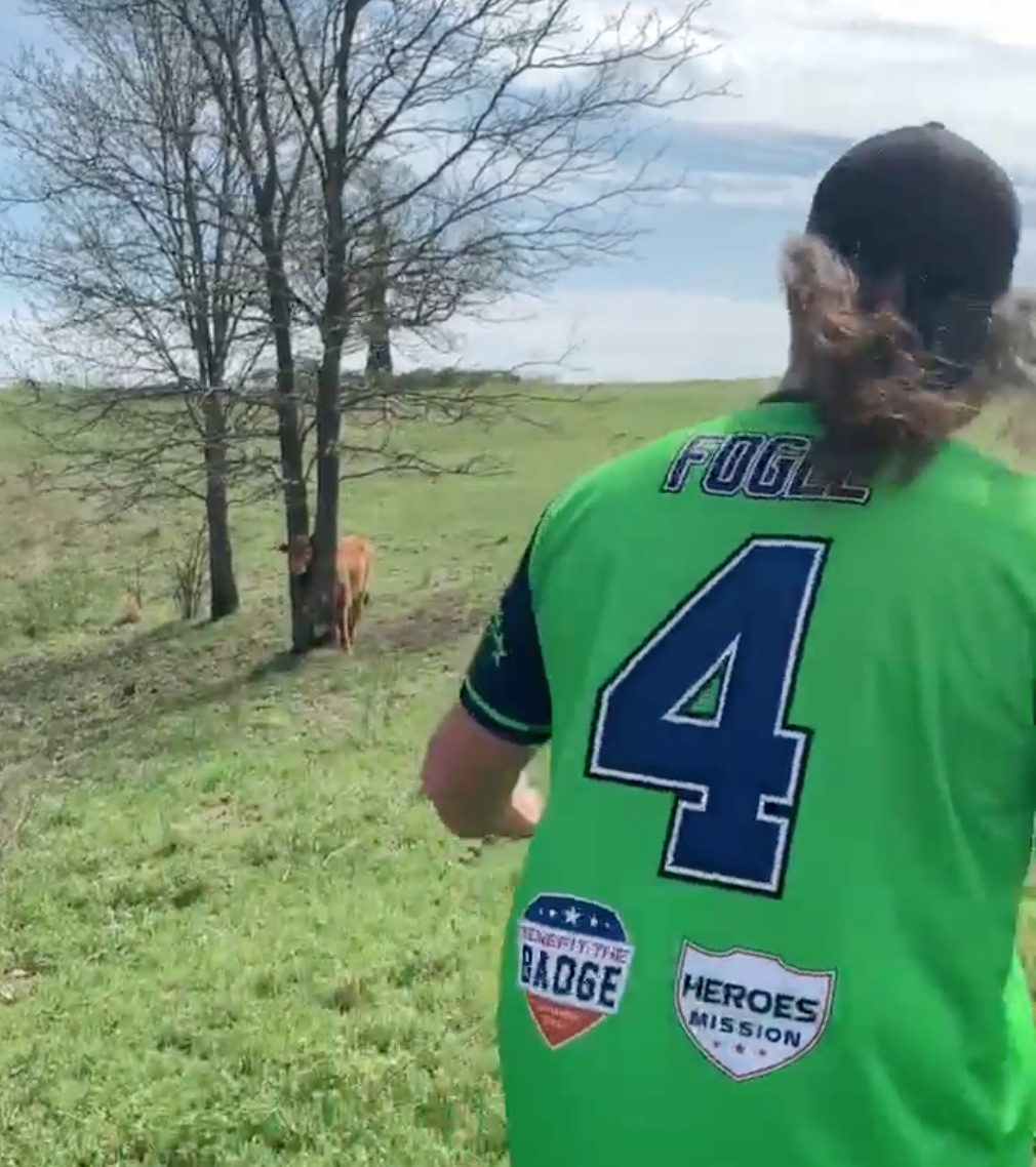 Man finds baby cow with head stuck in tree, knows exactly what to do