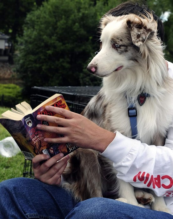 Professor asks students to show their pets doing classwork & the photos ...
