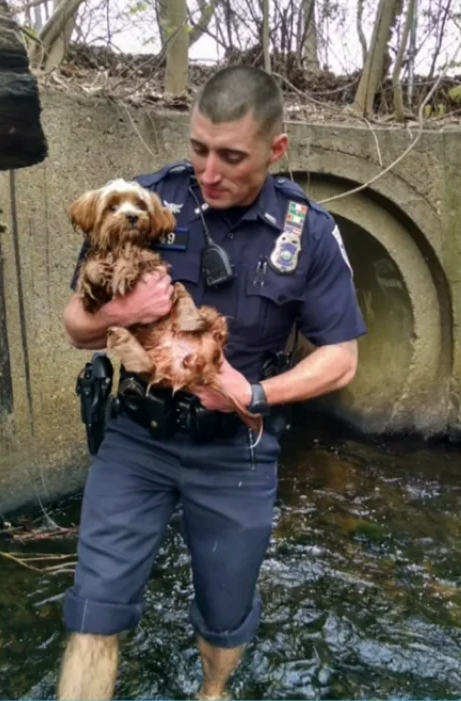 Police Officer Runs Into Dark, Flooded Tunnel To Save Puppy