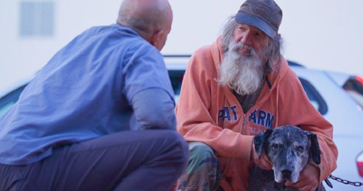 Animal lover spends his free time hunting down homeless people with ...