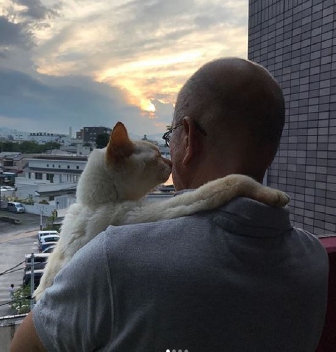 75 Adorable Photos Of Cats And Men