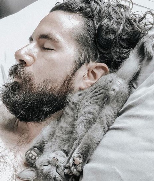 75 Adorable Photos Of Cats And Men