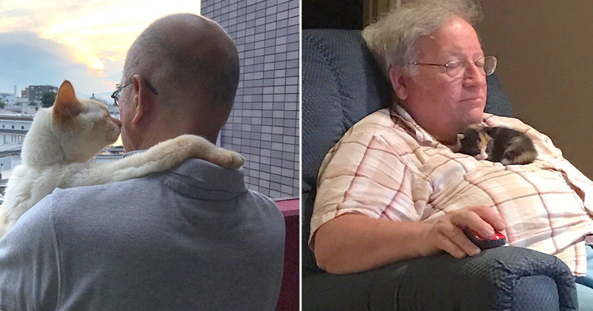 75 Adorable Photos Of Cats And Men
