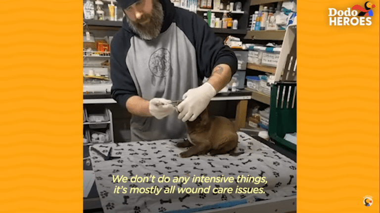 Heroic Man Has Rescued Thousands Of Animals From Disasters