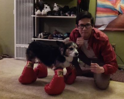 35 Funny Dogs Rocking Their Accessories