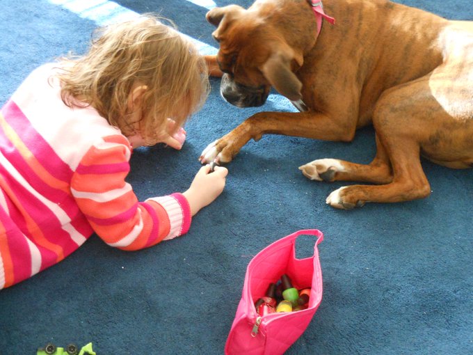 35 Funny Dogs Rocking Their Accessories