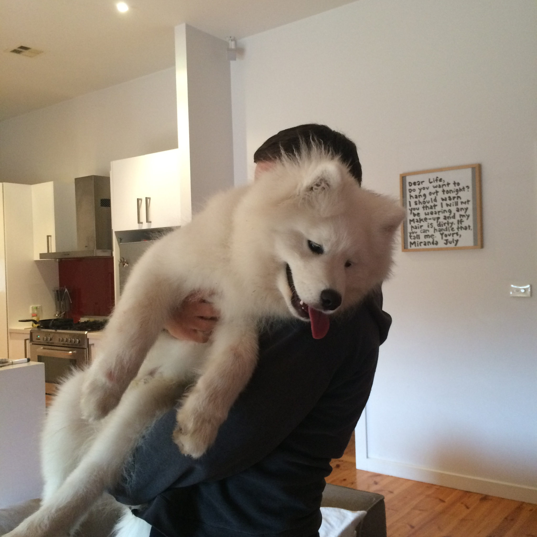 25 Photos Proving Dogs Are The Most Faithful Of Friends