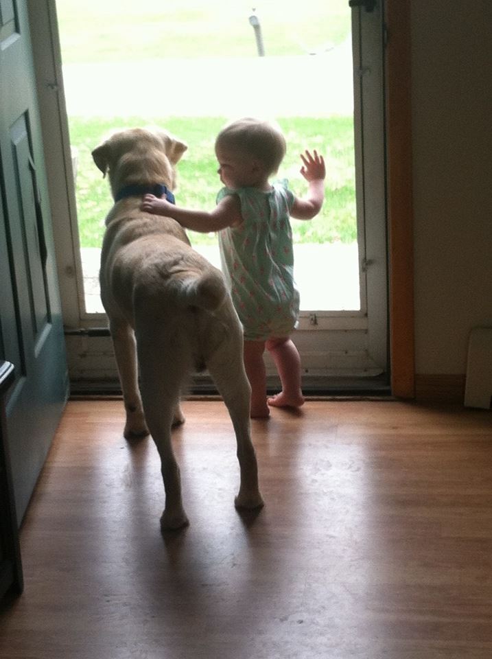 25 Photos Proving Dogs Are The Most Faithful Of Friends