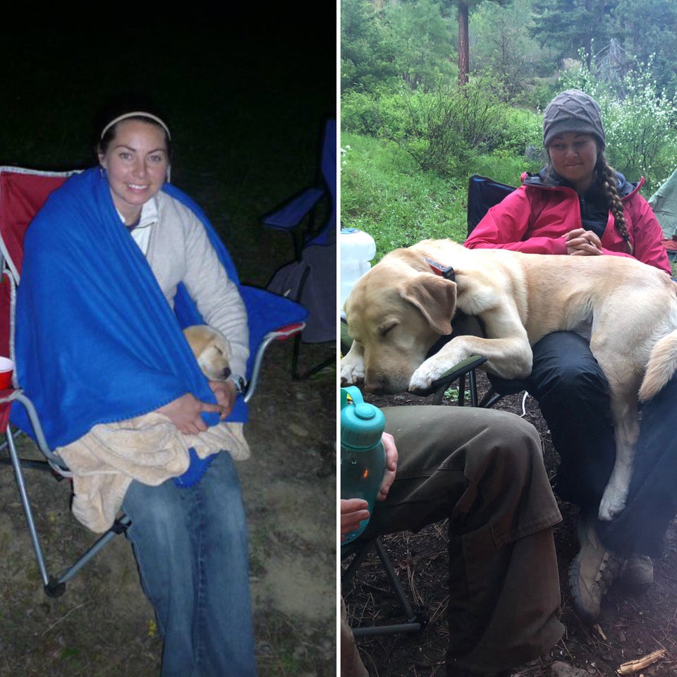 25 Photos Proving Dogs Are The Most Faithful Of Friends