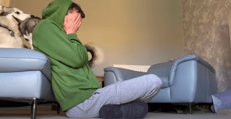 Husky has sweetest response after puppy gives dad a smack