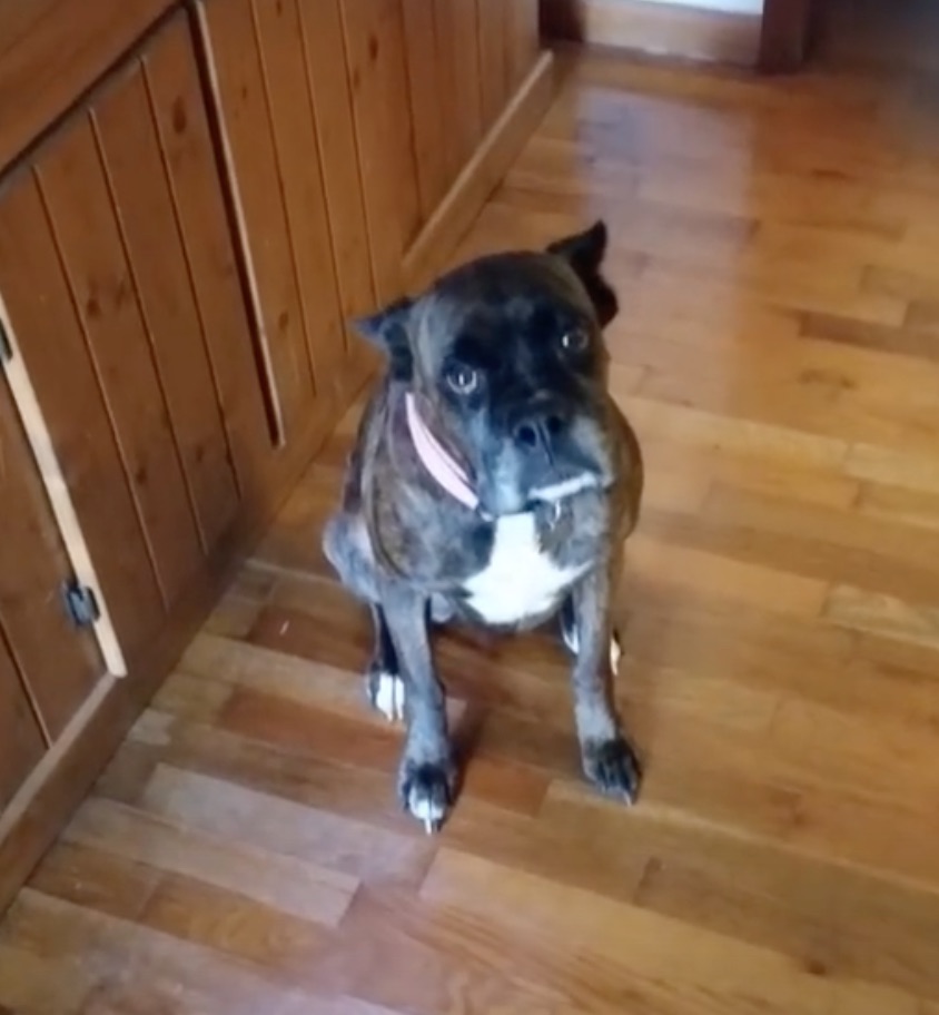 Boxer hears her favorite song and can't resist urge to dance