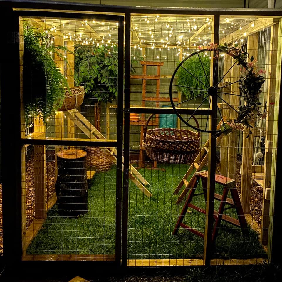 Couple builds incredible outdoor ‘catio’ for their cats
