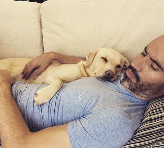 Bored sports announcer working from home gives hilarious dog play-by-play