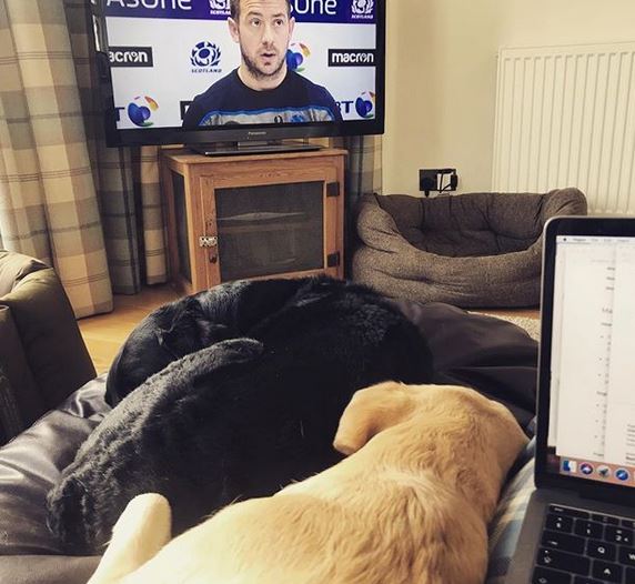 Bored sports announcer working from home gives hilarious dog play-by-play