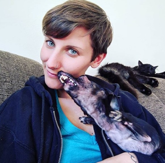 Deformed Chihuahua gets a second shot at love after being abandoned