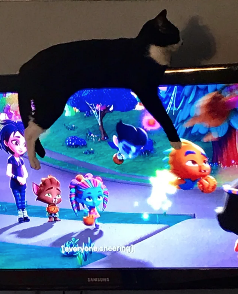 40 Pictures of pets whose owners deserve a reward for their patience