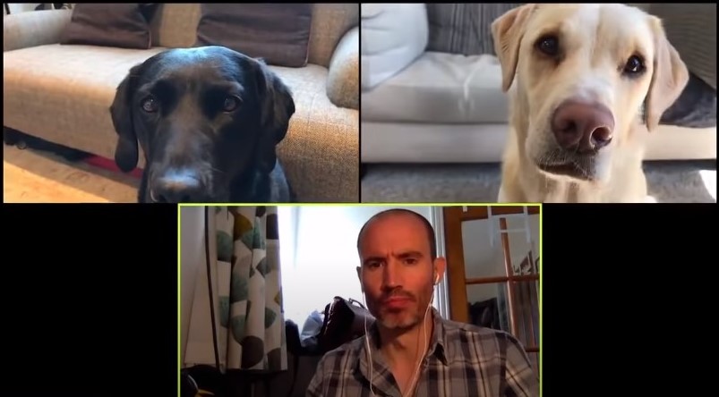Man has hilarious Zoom meeting with his dogs to discuss their ‘job ...