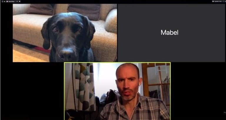 Man has hilarious Zoom meeting with his dogs to discuss their ‘job ...
