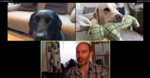 Man has hilarious Zoom meeting with his dogs to discuss their ‘job ...