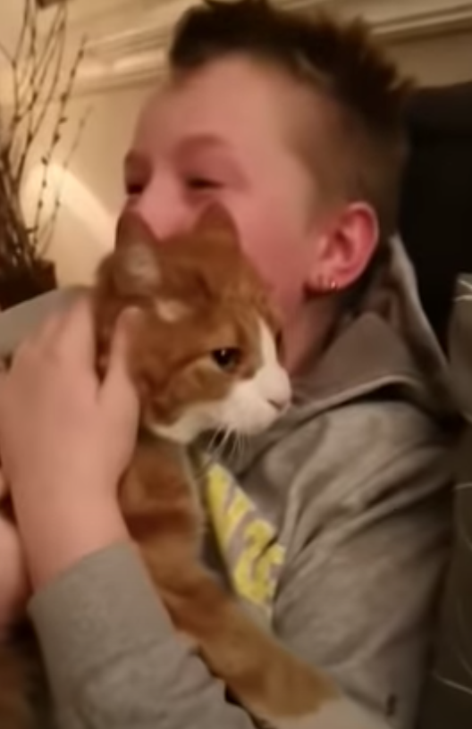Boy has sweetest reaction when he’s reunited with his cat after 7 months
