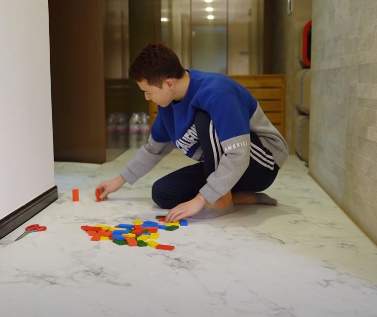 Owner Sets Up Obstacle Course For Pets With Hilarious Results