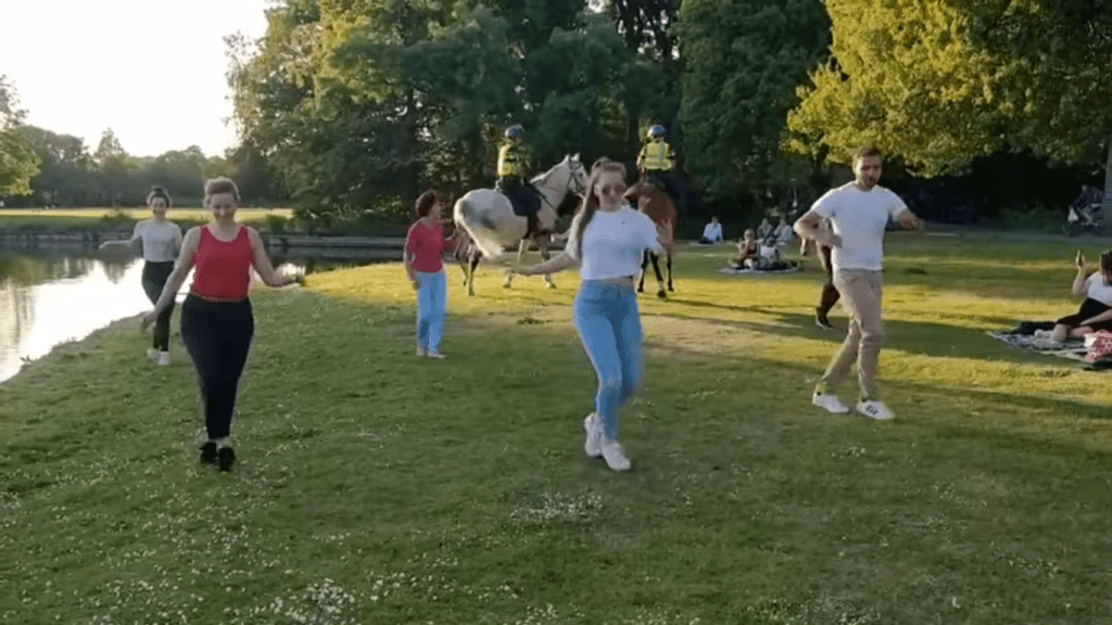 Police Horses Crash A Salsa Class In Hilarious Video