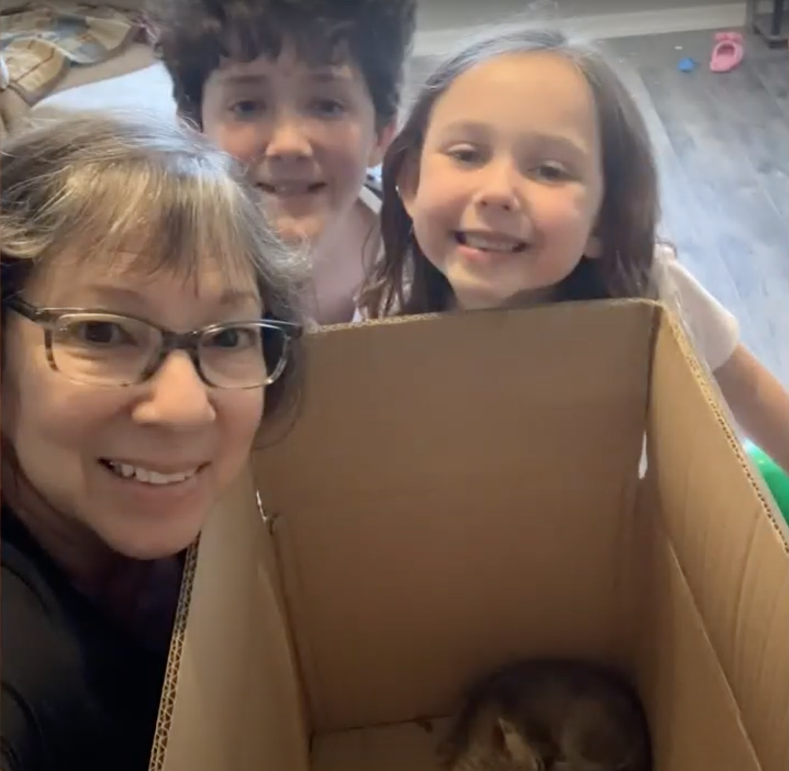 Family walking dog turn to find they’re being trailed by a baby fox ...