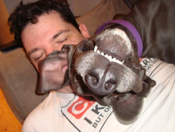 66 funny dogs who photobombed at the perfect moment