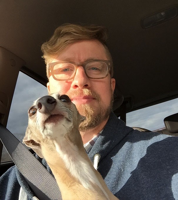 66 funny dogs who photobombed at the perfect moment