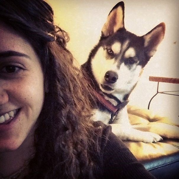 66 funny dogs who photobombed at the perfect moment