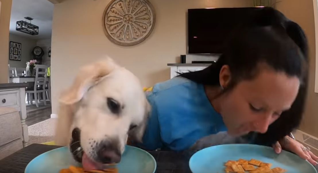 Human races dog in epic eating contest