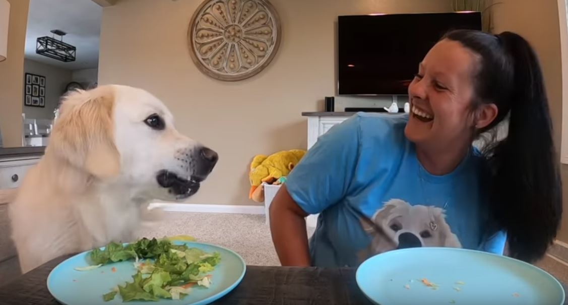 Human races dog in epic eating contest