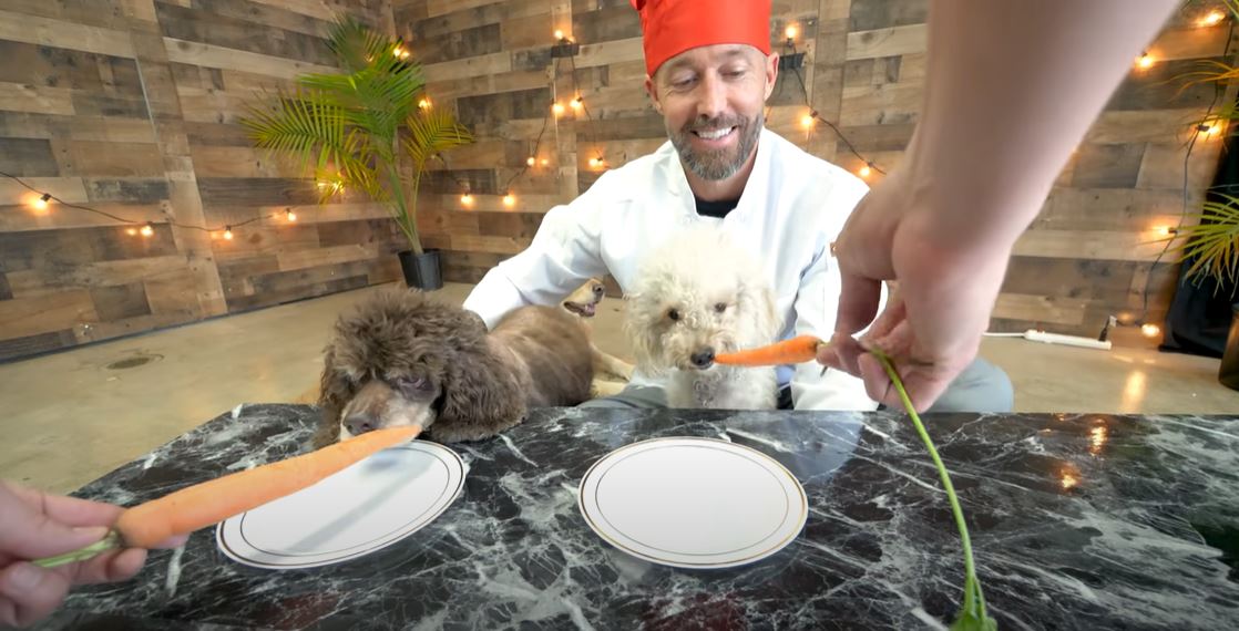 Man opens unique restaurant for homeless pets