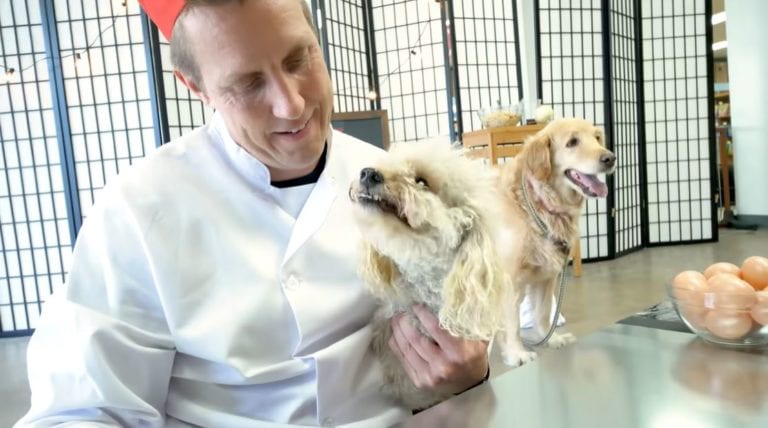 Man opens unique restaurant for homeless pets