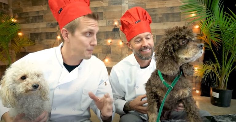 Man opens unique restaurant for homeless pets