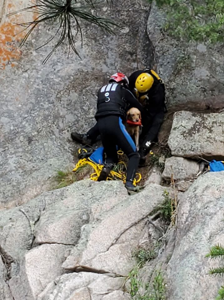 Missing Dog Saved From Towering 20-Foot Cliff Above Creek