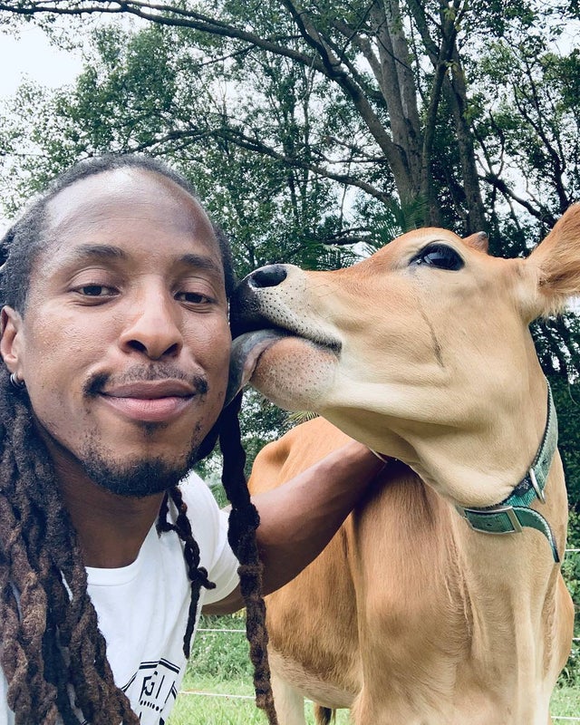 42 Photos Of Sweet Animals Overflowing With Love