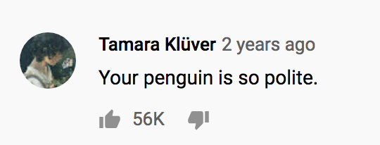 Polite cat has sweetest way of asking owner to pet him