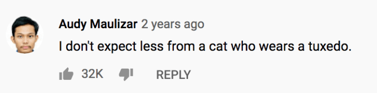 Polite cat has sweetest way of asking owner to pet him