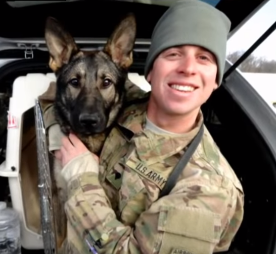 Dog Races Into Arms Of Soldier After Years Apart