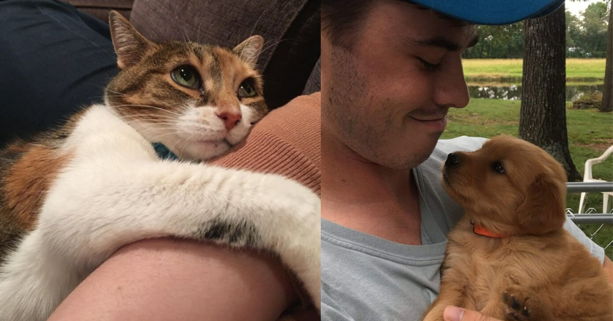 40 pets who are looking at their humans with so much love