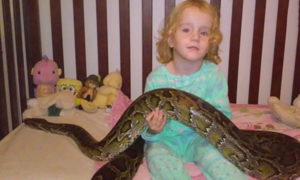 Dad defends decision to let his 13-foot pet python wrap itself around ...