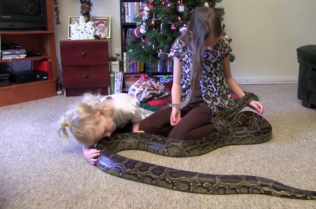 Dad defends decision to let his 13-foot pet python wrap itself around ...