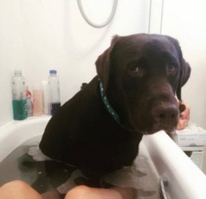 60 animals whose terrible day will make you appreciate yours