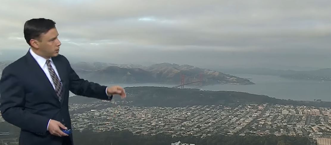 Bird hilariously photobombs weather report