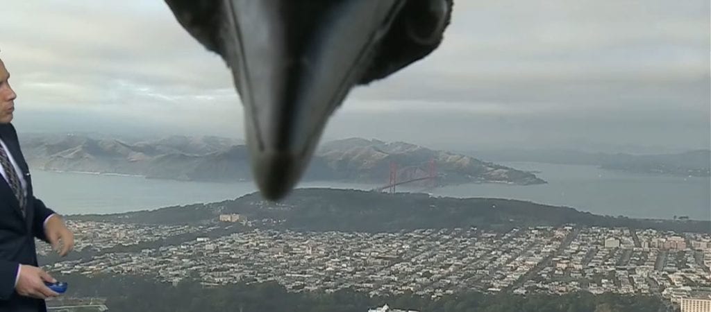 Bird hilariously photobombs weather report