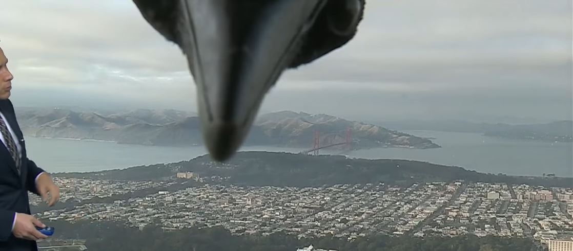 Bird hilariously photobombs weather report