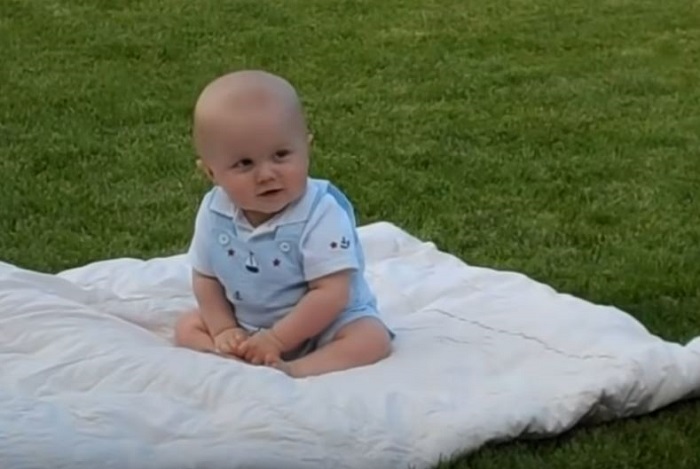 Yorkie puppy 'attacks' infant with no remorse