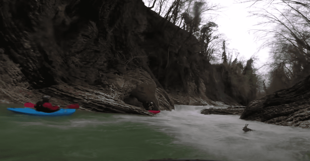 Kayaker spots drowning deer and jumps into action